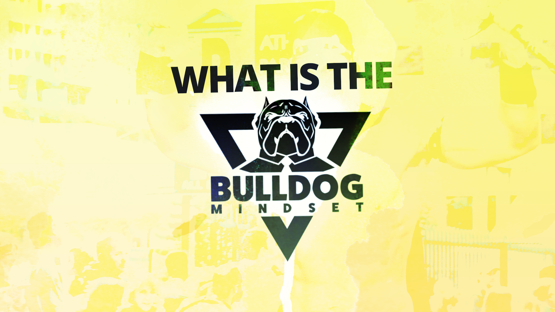 What Is The Bulldog Mindset Stoic Philosophy Bulldog Mindset